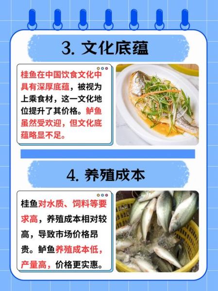 桂鱼适合什么地方养殖_桂鱼养殖条件有哪些-第1张图片-山城妙识