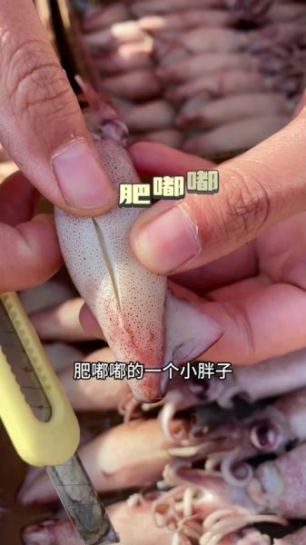 海兔哪些部位不能吃_海兔内脏清理图解-第2张图片-山城妙识