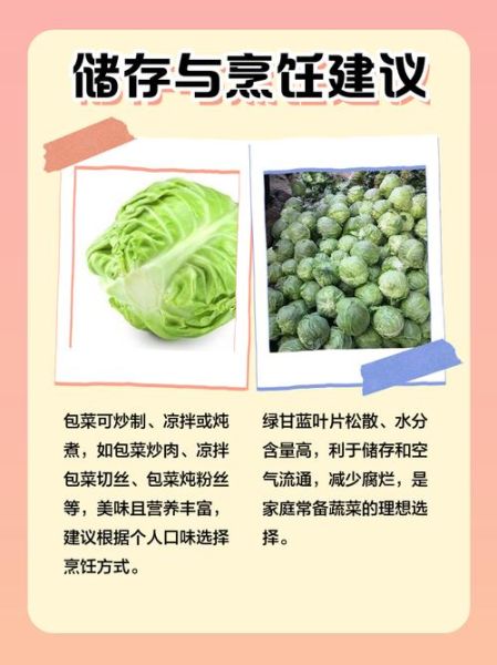 甘蓝菜和包菜的区别_哪个更有营养-第1张图片-山城妙识