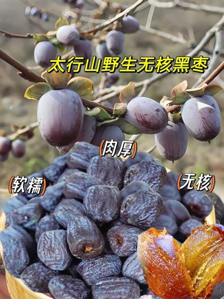 野生黑枣的功效与作用_野生黑枣怎么吃最好-第1张图片-山城妙识