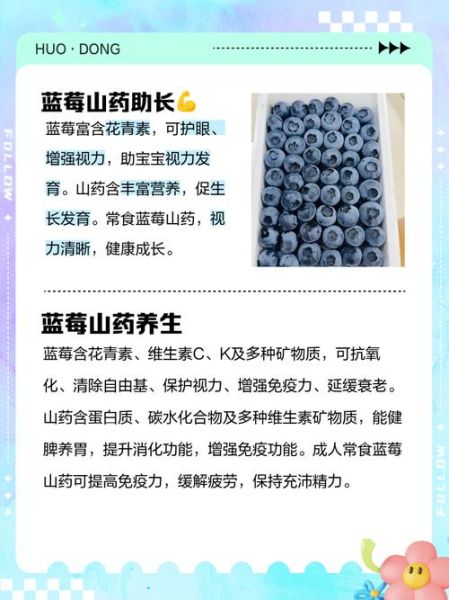 蓝莓山药的功效与作用_蓝莓山药的禁忌有哪些-第1张图片-山城妙识