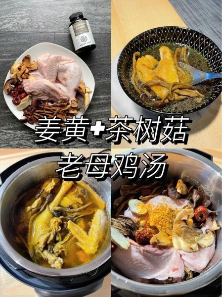 茶树菇红枣鸡汤的做法_茶树菇红枣鸡汤的功效-第3张图片-山城妙识