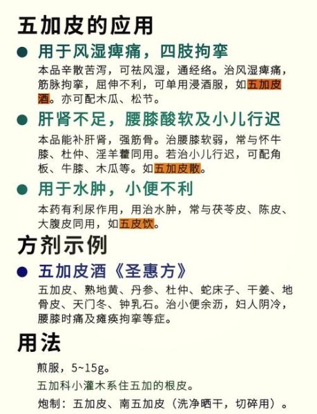 五加皮的功效与作用_五加皮泡酒配方-第1张图片-山城妙识