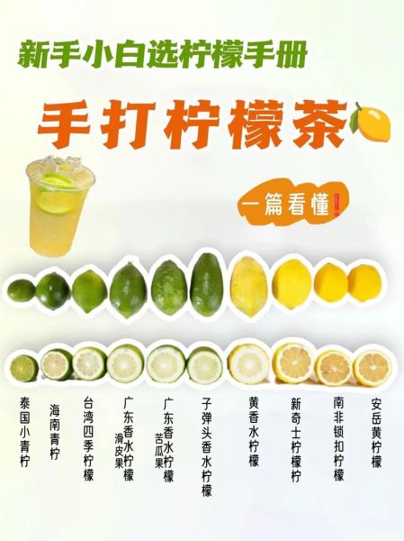 一颗柠檬茶怎么做_一颗柠檬茶热量高吗-第1张图片-山城妙识
