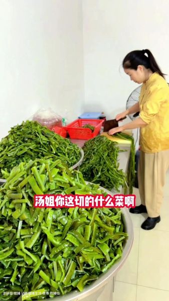 海白菜怎么做好吃_海白菜凉拌做法-第1张图片-山城妙识