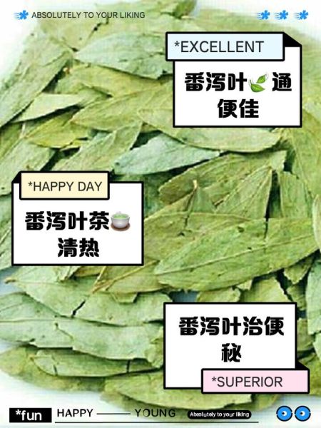 番泻叶一天喝几次_番泻叶喝多了会怎样-第3张图片-山城妙识 番泻叶一天喝几次_番泻叶喝多了会怎样-第3张图片-山城妙识