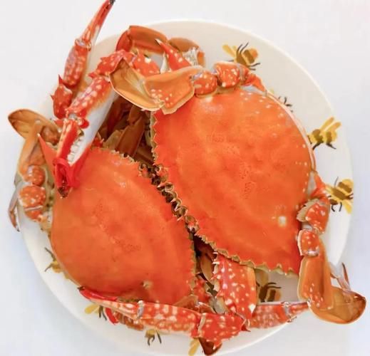 清蒸梭子蟹冷水还是热水_蒸多久才鲜嫩-第1张图片-山城妙识 清蒸梭子蟹冷水还是热水_蒸多久才鲜嫩-第1张图片-山城妙识