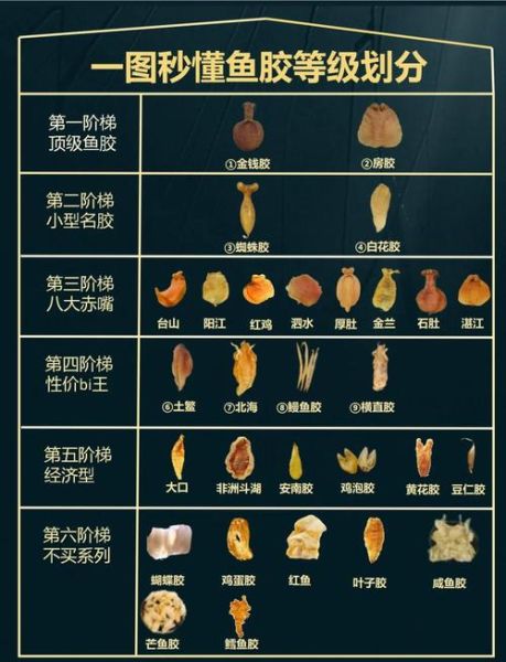 鱼胶图片大全大图_鱼胶怎么挑选-第1张图片-山城妙识