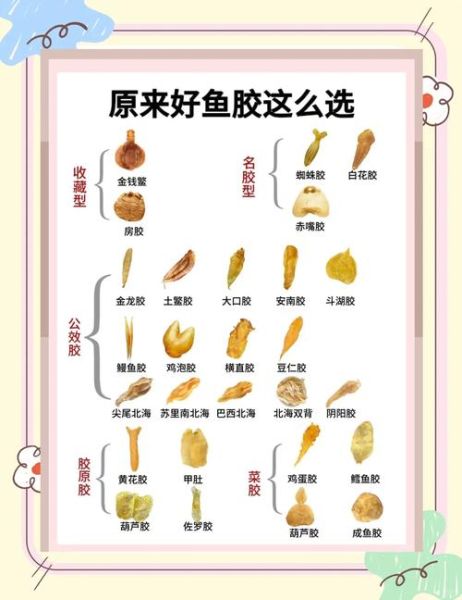 鱼胶图片大全大图_鱼胶怎么挑选-第3张图片-山城妙识