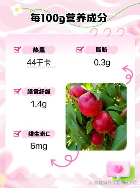 油桃的热量是多少_油桃减肥能吃吗-第2张图片-山城妙识 油桃的热量是多少_油桃减肥能吃吗-第2张图片-山城妙识