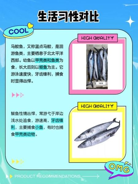 马鲛鱼和鲅鱼的区别_价格差多少-第3张图片-山城妙识