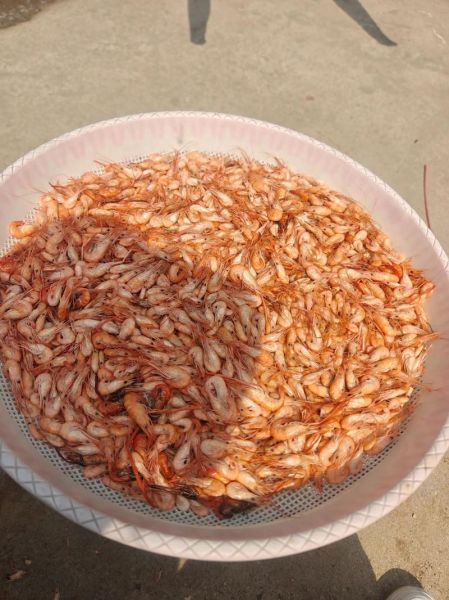 野生小河虾怎么做好吃_野生小河虾的做法大全-第3张图片-山城妙识