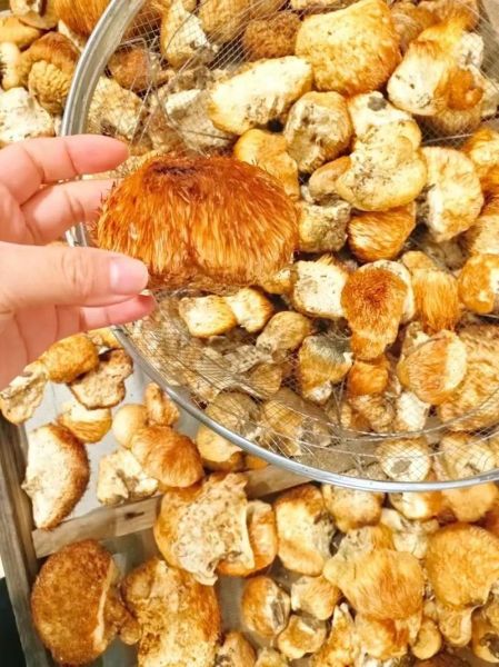 猴头菇怎么做好吃_猴头菇的家常做法步骤-第2张图片-山城妙识