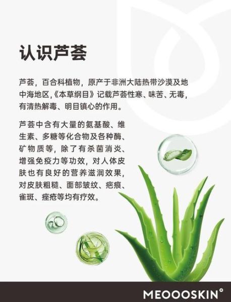 芦荟的美容功效与作用_芦荟怎么用来护肤-第1张图片-山城妙识