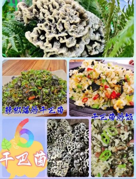 干巴菌图片_干巴菌怎么挑选-第1张图片-山城妙识 干巴菌图片_干巴菌怎么挑选-第1张图片-山城妙识