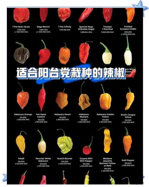 辣椒种子怎么催芽_辣椒种子催芽方法-第1张图片-山城妙识 辣椒种子怎么催芽_辣椒种子催芽方法-第1张图片-山城妙识