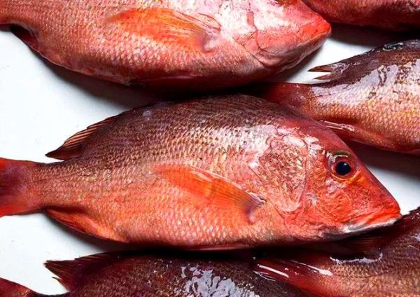 红鱼图片大全高清大图_红鱼怎么区分品种-第3张图片-山城妙识