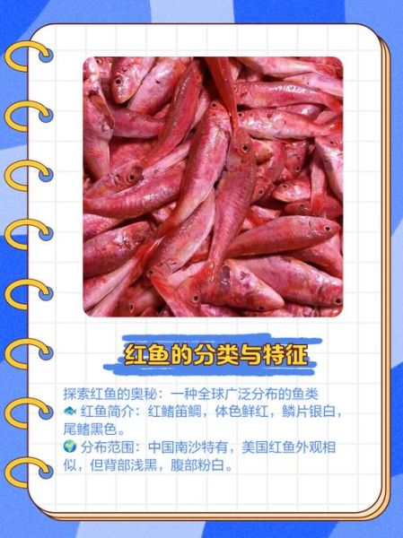 红鱼图片大全高清大图_红鱼怎么区分品种-第1张图片-山城妙识