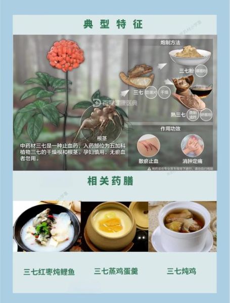 三七的功效与作用吃法_三七怎么吃效果最好-第1张图片-山城妙识