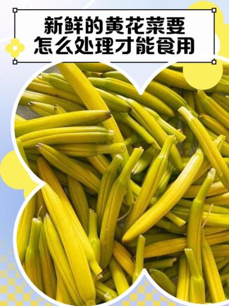 黄花菜中毒怎么解毒_黄花菜中毒症状多久出现-第3张图片-山城妙识