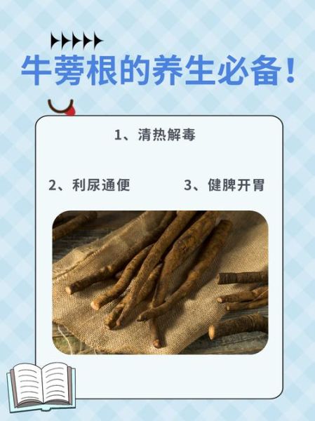 鲜牛蒡怎么吃最营养_鲜牛蒡的功效与作用-第3张图片-山城妙识 鲜牛蒡怎么吃最营养_鲜牛蒡的功效与作用-第3张图片-山城妙识