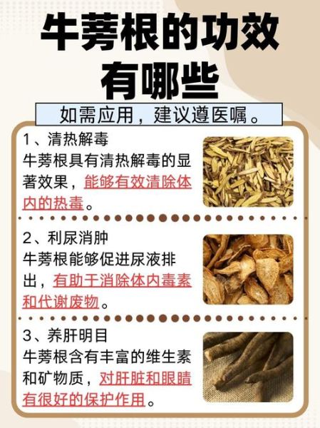 鲜牛蒡怎么吃最营养_鲜牛蒡的功效与作用-第2张图片-山城妙识 鲜牛蒡怎么吃最营养_鲜牛蒡的功效与作用-第2张图片-山城妙识