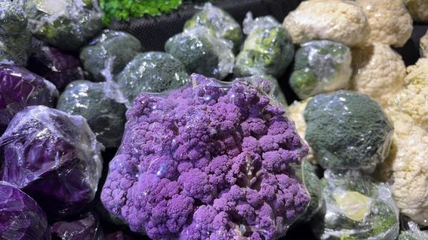 紫菜变紫色还能吃吗_紫菜变紫色了还能吃吗-第2张图片-山城妙识