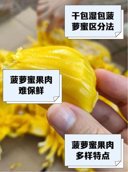 菠萝蜜肉怎么保存_菠萝蜜肉可以冷冻吗-第2张图片-山城妙识