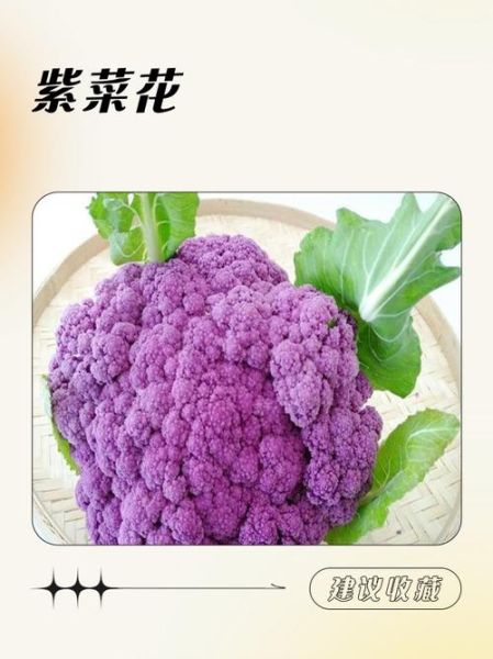 紫菜变紫色还能吃吗_紫菜变紫色了还能吃吗-第3张图片-山城妙识