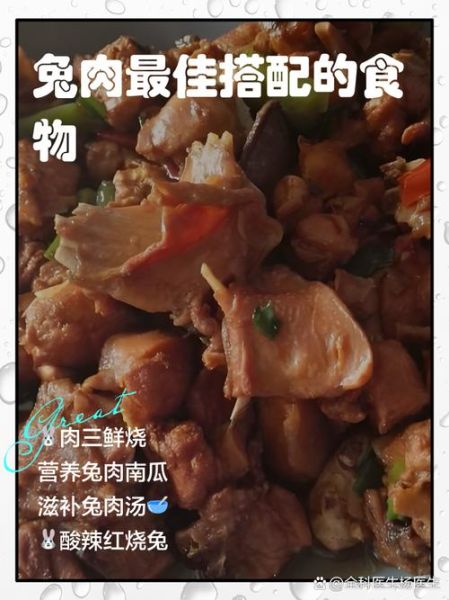 兔肉和什么一起吃最好_兔肉搭配禁忌有哪些-第3张图片-山城妙识
