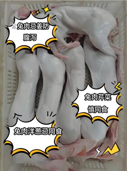 兔肉和什么一起吃最好_兔肉搭配禁忌有哪些-第2张图片-山城妙识