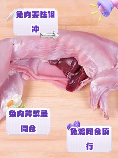 兔肉和什么一起吃最好_兔肉搭配禁忌有哪些-第1张图片-山城妙识