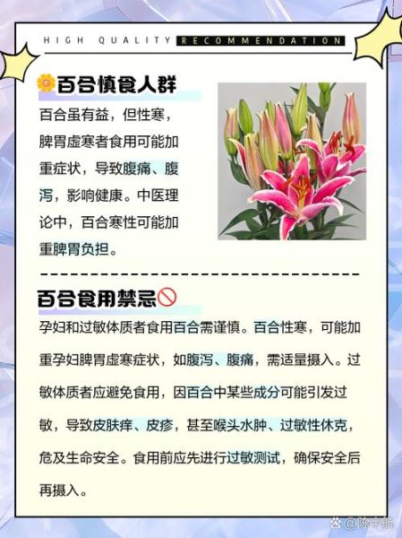 百合怎么吃最好_百合禁忌人群有哪些-第3张图片-山城妙识 百合怎么吃最好_百合禁忌人群有哪些-第3张图片-山城妙识