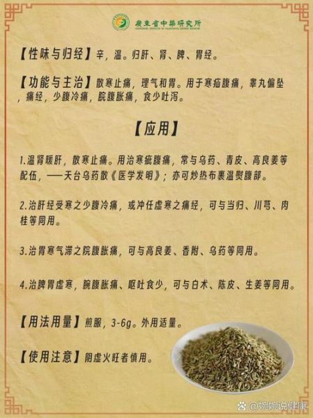 茴香的功效与作用_茴香的食用方法-第3张图片-山城妙识