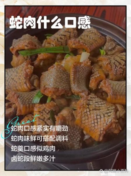 蛇肉怎么做好吃_蛇肉做法大全-第2张图片-山城妙识