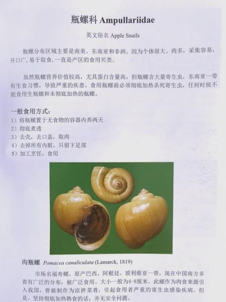 螺品种大全_淡水螺和海水螺有哪些-第1张图片-山城妙识 螺品种大全_淡水螺和海水螺有哪些-第1张图片-山城妙识