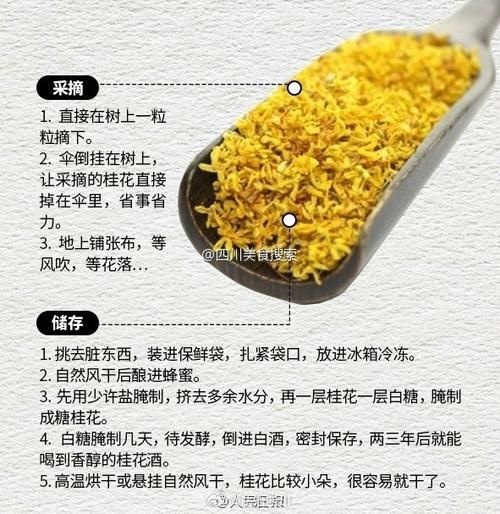 自己摘的桂花怎么处理_家庭保存与食用方法-第2张图片-山城妙识