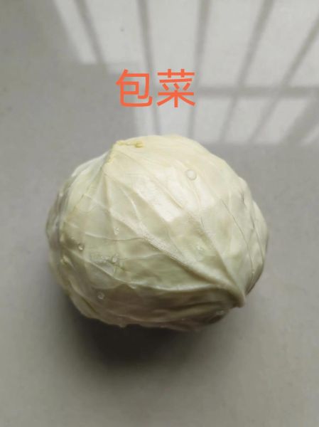 卷心菜和包菜的区别_哪个更好吃-第2张图片-山城妙识