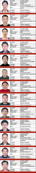 失信人员黑名单查询免费_如何查老赖名单不花钱-第1张图片-山城妙识