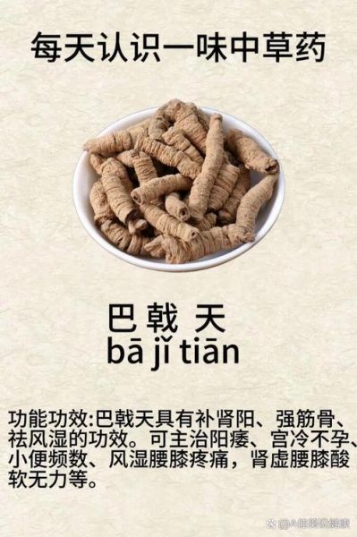 巴戟天的功效与作用及副作用_巴戟天适合哪些人吃-第1张图片-山城妙识