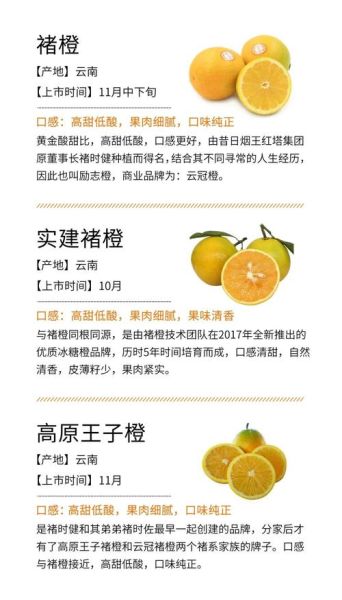 脐橙怎么挑选_脐橙产地哪里最好-第1张图片-山城妙识 脐橙怎么挑选_脐橙产地哪里最好-第1张图片-山城妙识