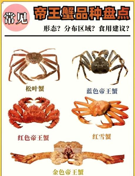 螃蟹有几条腿_螃蟹腿数是多少-第1张图片-山城妙识