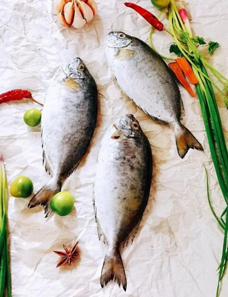 泥猛鱼养殖技术_泥猛鱼养殖常见问题-第1张图片-山城妙识