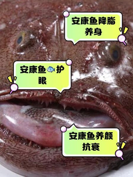 安康鱼哪里有毒_怎么安全处理-第1张图片-山城妙识