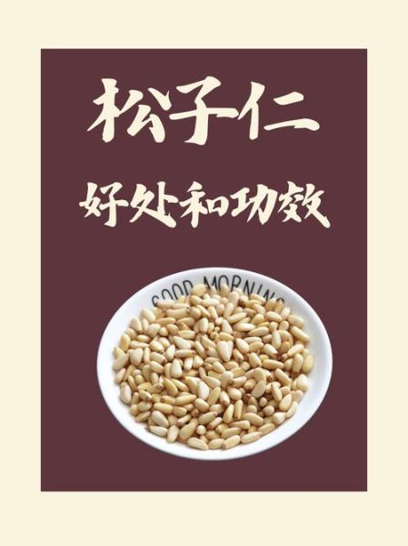 松子仁的功效与作用及食用方法_松子仁一天吃多少粒最好-第1张图片-山城妙识 松子仁的功效与作用及食用方法_松子仁一天吃多少粒最好-第1张图片-山城妙识