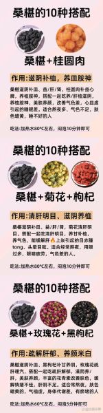 桑椹子泡水有什么好处_桑椹子泡水可以天天喝吗-第2张图片-山城妙识 桑椹子泡水有什么好处_桑椹子泡水可以天天喝吗-第2张图片-山城妙识