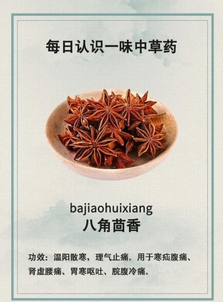 茴香是什么东西_茴香和八角的区别-第1张图片-山城妙识 茴香是什么东西_茴香和八角的区别-第1张图片-山城妙识
