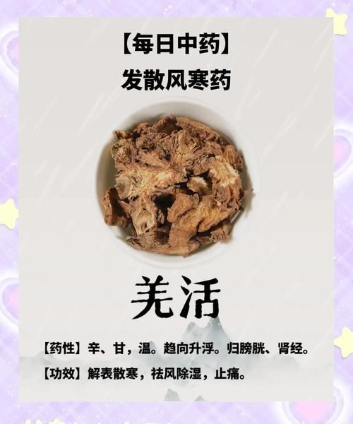 羌活的功效与作用_羌活主治哪些疾病-第1张图片-山城妙识