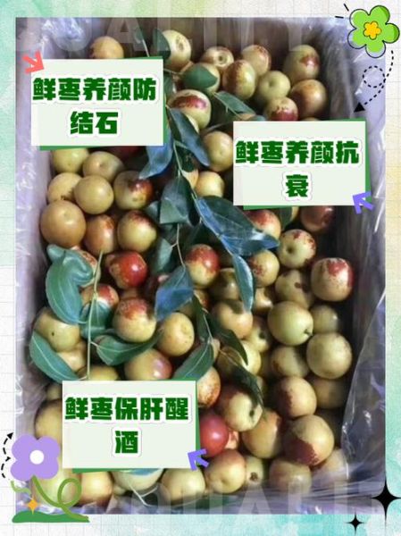 鲜枣的营养价值及功效与作用_鲜枣一天吃多少合适-第2张图片-山城妙识