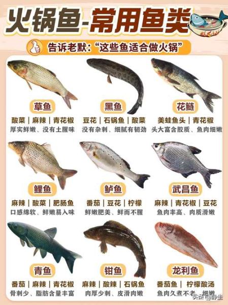 鲜鲤鱼怎么做好吃_鲜鲤鱼去腥技巧-第3张图片-山城妙识